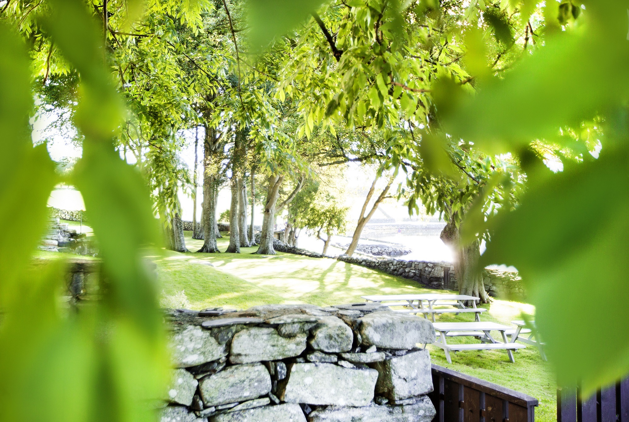 Opening Hours during summer - Utstein Monastery